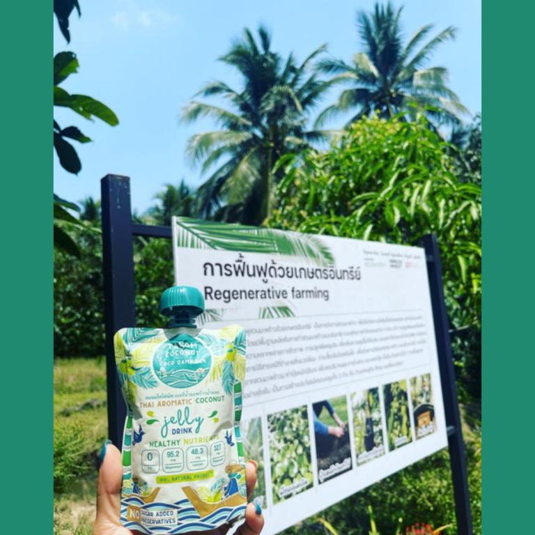 Coco Damnoen Coconut Farm - CocoDamenoenCo